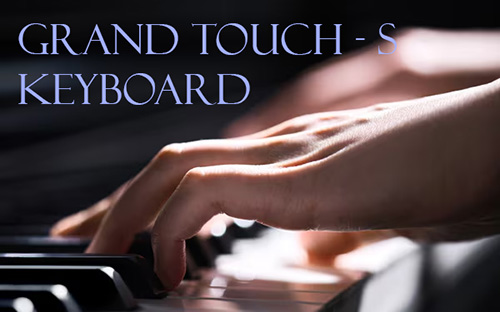 Yamaha CLP-825 Clavinova Digital Piano - Yamaha Pianos of Princeton